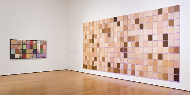 바이런 김(Byron Kim)의 '제유법(Synecdoche)': 피부색이 우리에게 말하는 것 - Art - NYCultureBeat